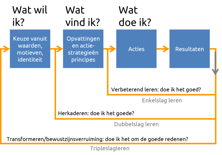 Model Lingsma en Scholten, tripleloop-leren – reflectiesite